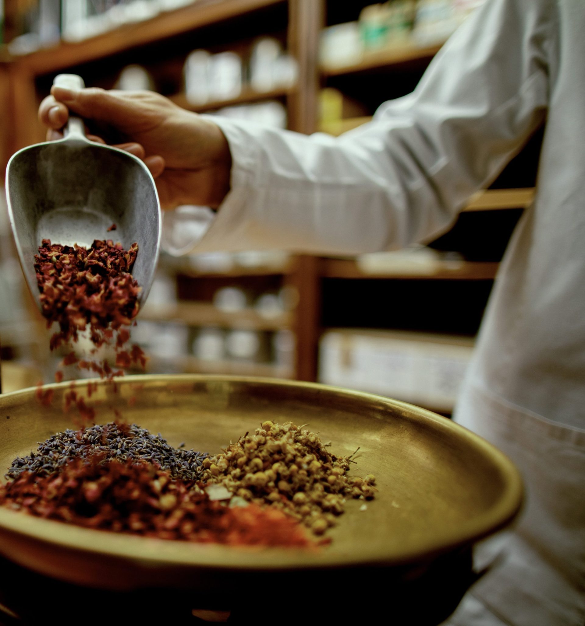 Über uns | Kraut und Wurzel