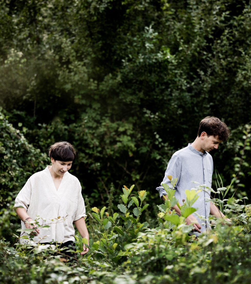 Startseite | Kraut und Wurzel