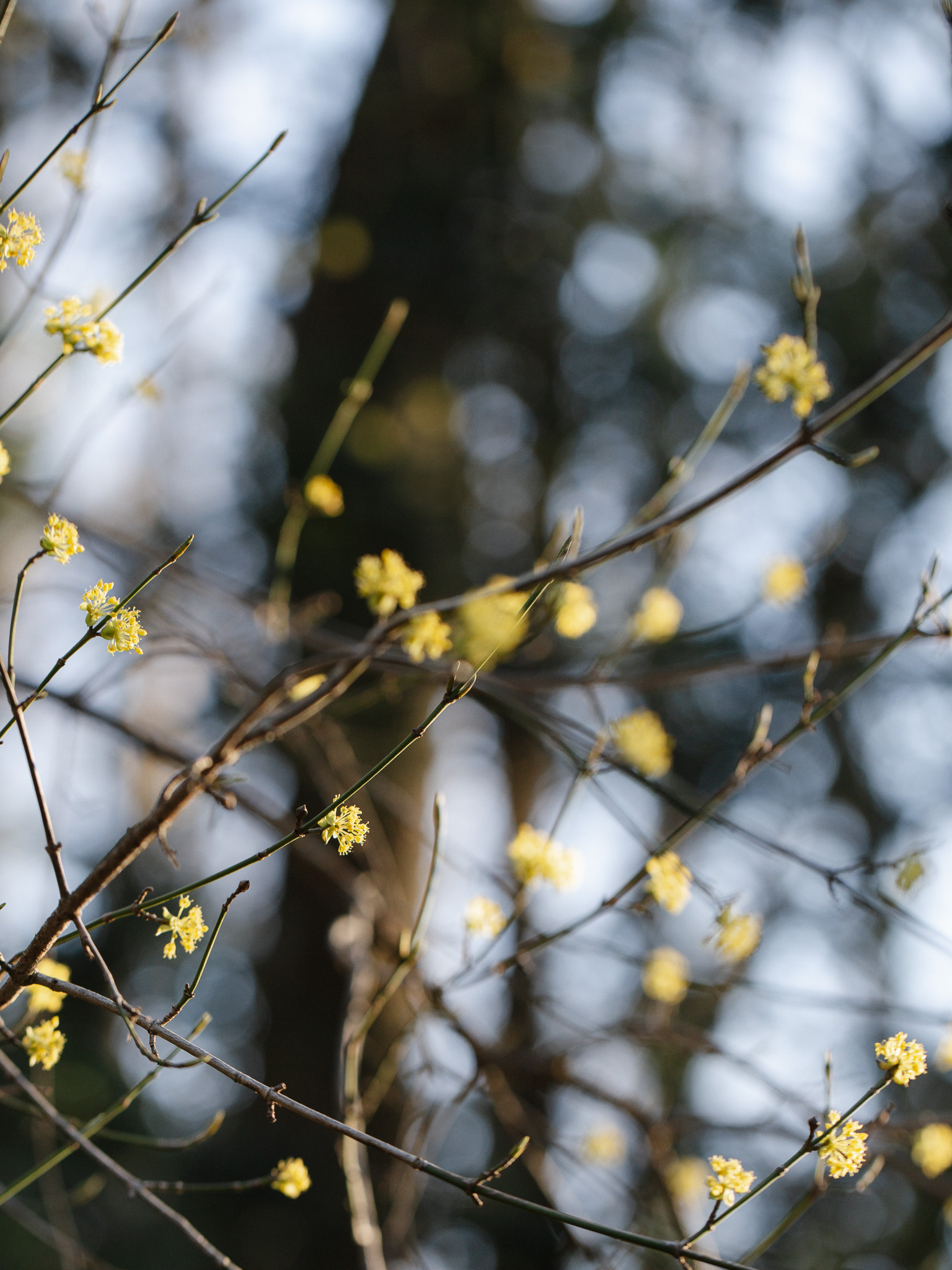 Startseite | Kraut und Wurzel