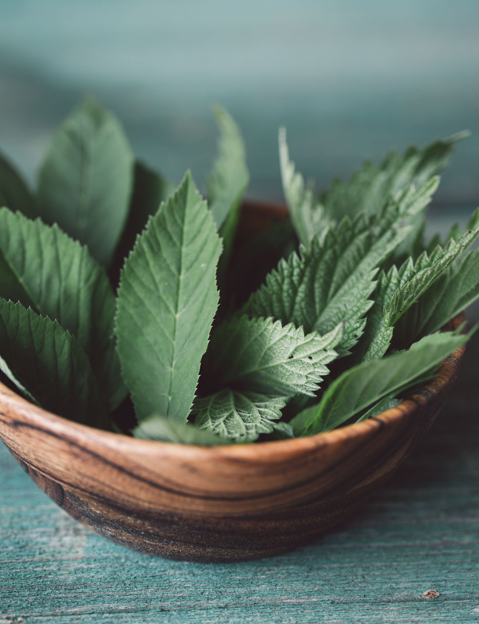 Neunkräutersuppe (Gründonnerstagssuppe) | Kraut und Wurzel